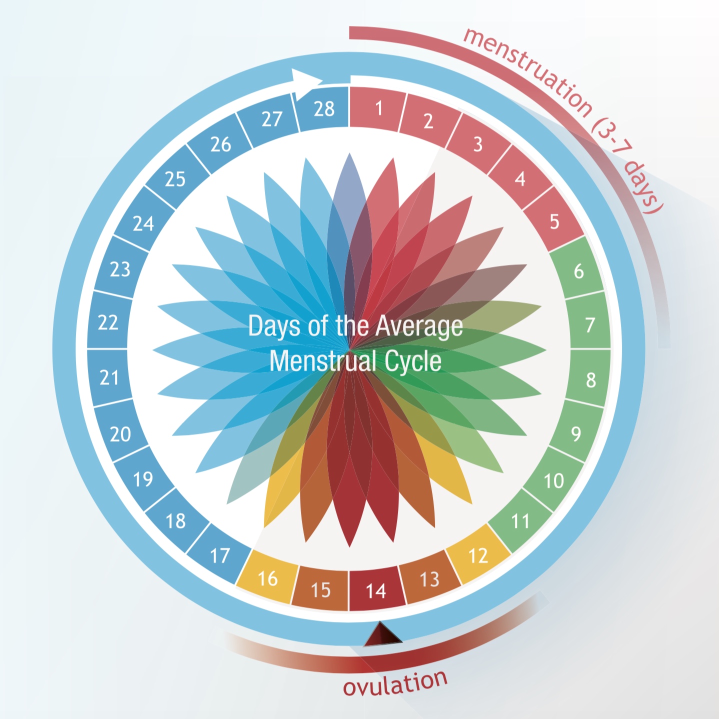 What is a fertile window? - Fertility Cloud